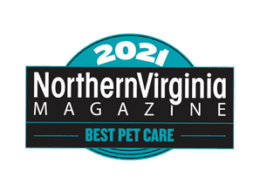 Welcome - The Board Hound [ Premier Boarding Facility: Shirlington ...